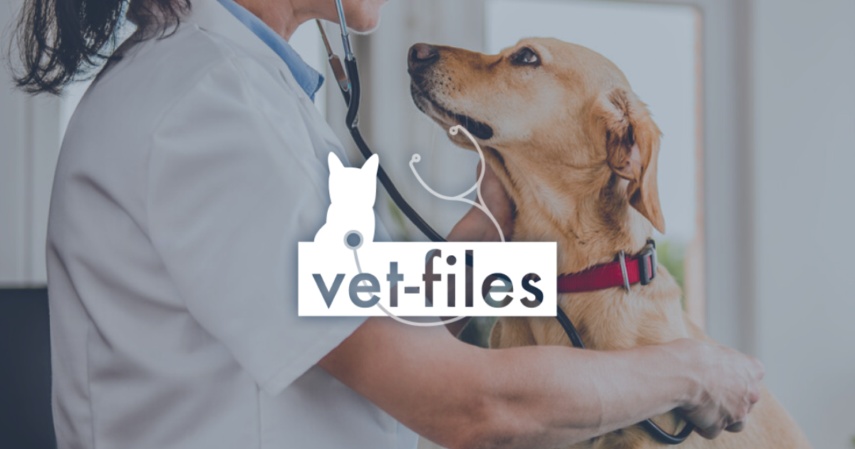 Vet-files | icapps your partner in Digital growth