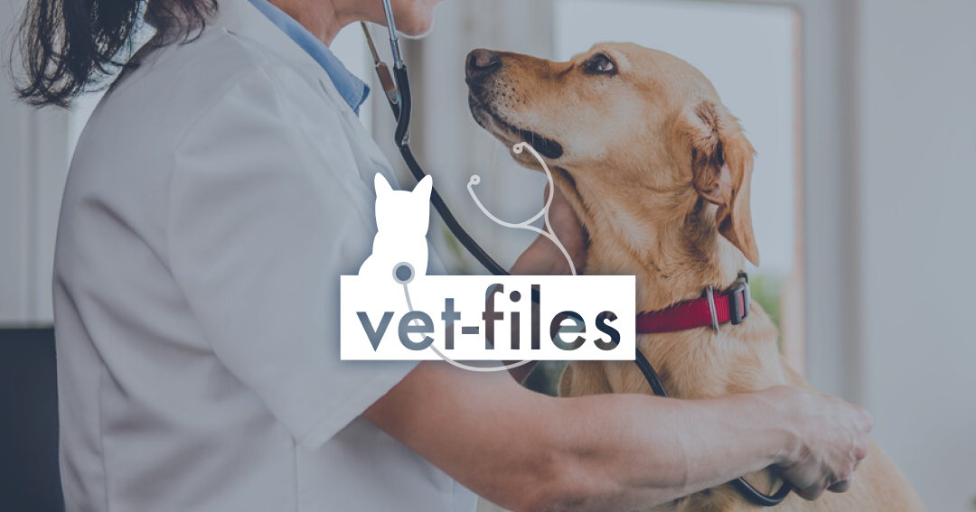 Vet-files – Automating veterinary X-ray workflows | icapps your…